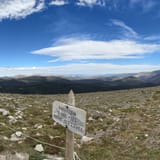 Alpine Ridge Trail, Colorado - 1,225 Reviews, Map | AllTrails