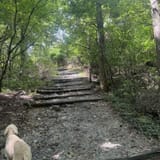 Tri-State Peak Trail, Tennessee - 992 Reviews, Map | AllTrails