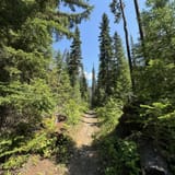 Emerald Lake Loop, British Columbia, Canada - 3,368 Reviews, Map ...