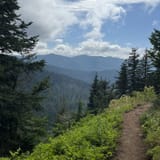 Top Spur and Timberline Loop, Oregon - 975 Reviews, Map | AllTrails