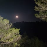 Window Cliffs Trail, Tennessee - 1,548 Reviews, Map | AllTrails