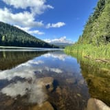 Trillium Lake Loop, Oregon - 2,703 Reviews, Map | AllTrails