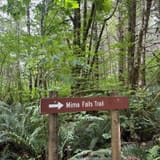 Mima Falls Loop, Washington - 1,767 Reviews, Map | AllTrails