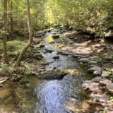 Busby and Machine Falls Loop, Tennessee - 2,193 Reviews, Map | AllTrails