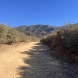Etiwanda Falls Trail, California - 6,321 Reviews, Map | AllTrails