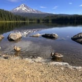 Trillium Lake Loop, Oregon - 2,703 Reviews, Map | AllTrails