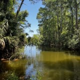 Sea Pines Forest Preserve, South Carolina - 900 Reviews, Map | AllTrails