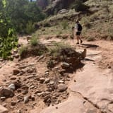 Mill Creek Trail, Utah - 3,059 Reviews, Map | AllTrails