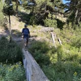 Beaver Ponds Loop Trail, Montana - 1,537 Reviews, Map | AllTrails
