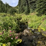 Berkeley Park Trail, Washington - 395 Reviews, Map | AllTrails