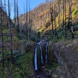 Oneonta Trail, Oregon - 724 Reviews, Map | AllTrails