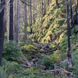 Oneonta Trail, Oregon - 724 Reviews, Map | AllTrails
