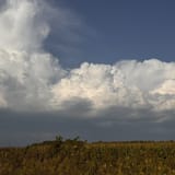 Wiouwash State Recreational Trail, Wisconsin - 241 Reviews, Map | AllTrails