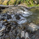 Oneonta Trail, Oregon - 724 Reviews, Map | AllTrails