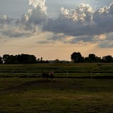 Wiouwash State Recreational Trail, Wisconsin - 241 Reviews, Map | AllTrails