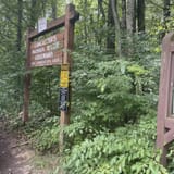 Cook Conservation Area Loop, Massachusetts - 936 Reviews, Map | AllTrails