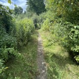 Cook Conservation Area Loop, Massachusetts - 936 Reviews, Map | AllTrails