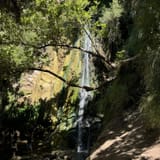 Escondido Falls Trail, California - 7,400 Reviews, Map | AllTrails