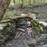 Hickory Ridge Outer Trail, Tennessee - 381 Reviews, Map | AllTrails
