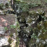 Hickory Ridge Outer Trail, Tennessee - 381 Reviews, Map | AllTrails