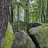 Rimrock Overlook Trail, Pennsylvania - 539 Reviews, Map | AllTrails