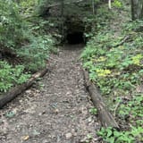Tantiusques Loop, Massachusetts - 96 Reviews, Map | AllTrails