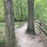 Mount Pleasant, Wildlife Management and Fort Hill Loop Trail, Ohio ...
