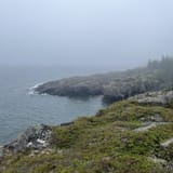 Scoville Point via Stoll Trail, Michigan - 475 Reviews, Map | AllTrails