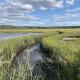Barn Island Wildlife Management Area Trail, Connecticut - 702 Reviews ...