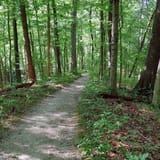Cincinnati Nature Center Loop, Ohio - 1,552 Reviews, Map | AllTrails