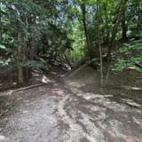 Aman Park Loop, Michigan - 1,563 Reviews, Map | AllTrails