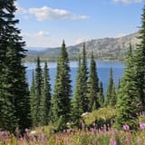Box Lake Trail, Idaho - 267 Reviews, Map | AllTrails