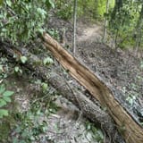 Sharps Ridge Loop Trail, Tennessee - 978 Reviews, Map | AllTrails