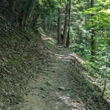Deep Creek Loop Trail, North Carolina - 2,158 Reviews, Map | AllTrails