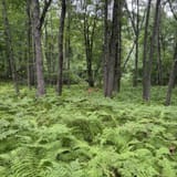 Broad Meadow Brook Trail, Massachusetts - 858 Reviews, Map | AllTrails