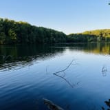 Clopper Lake Shore Trail, Maryland - 2,385 Reviews, Map | AllTrails
