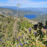 Mount Judah Loop Trail, California - 2,645 Reviews, Map | AllTrails