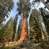 General Sherman Tree Trail, California - 3,392 Reviews, Map | AllTrails