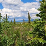 Stampede Trail to Sushana River, Alaska - 19 Reviews, Map | AllTrails