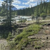 Crescent Falls, Alberta, Canada - 312 Reviews, Map | AllTrails