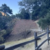 Castle Rock Stage Road Trail, California - 1,406 Reviews, Map | AllTrails