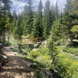 Mitchell Lake Trail, Colorado - 631 Reviews, Map | AllTrails
