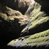 Ape Cave Trail, Washington - 1,767 Reviews, Map | AllTrails