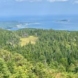 Franey Trail, Nova Scotia, Canada - 1,472 Reviews, Map | AllTrails