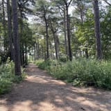 Formby Beach and Woodland Circular, Merseyside, England - 109 Reviews ...