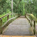 Redden State Forest Loop, Delaware - 364 Reviews, Map | AllTrails