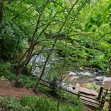 Yarrow Valley Country Park Circular, Lancashire, England - 327 Reviews ...