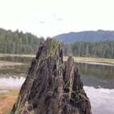Irely Lake Trail, Washington - 123 Reviews, Map | AllTrails