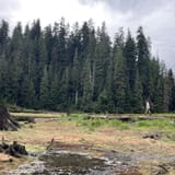 Irely Lake Trail, Washington - 125 Reviews, Map | AllTrails