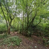 Yarrow Valley Country Park Circular, Lancashire, England - 327 Reviews ...